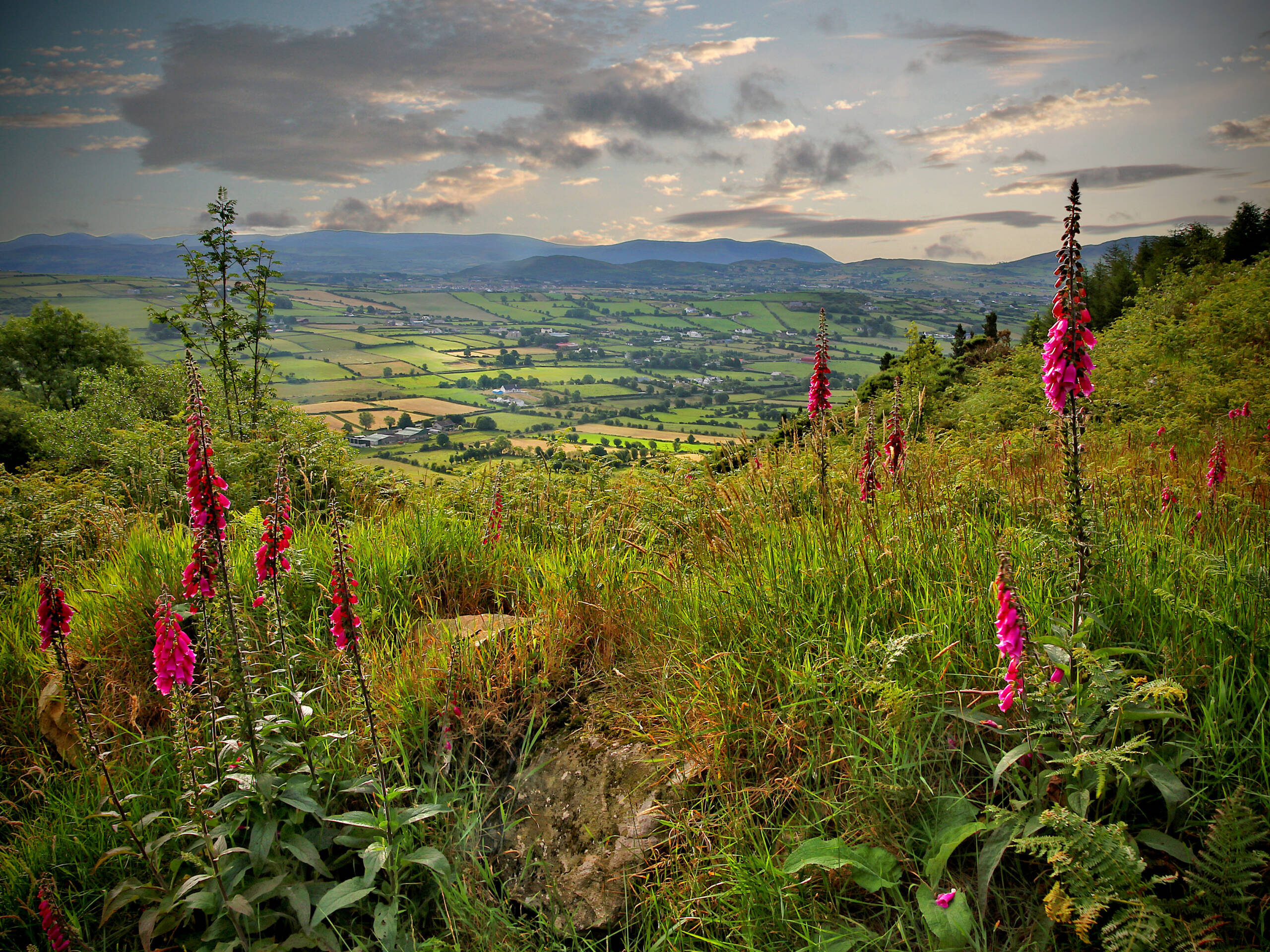 The Ring of Gullion Needs Your Help | Ring of Gullion AONB