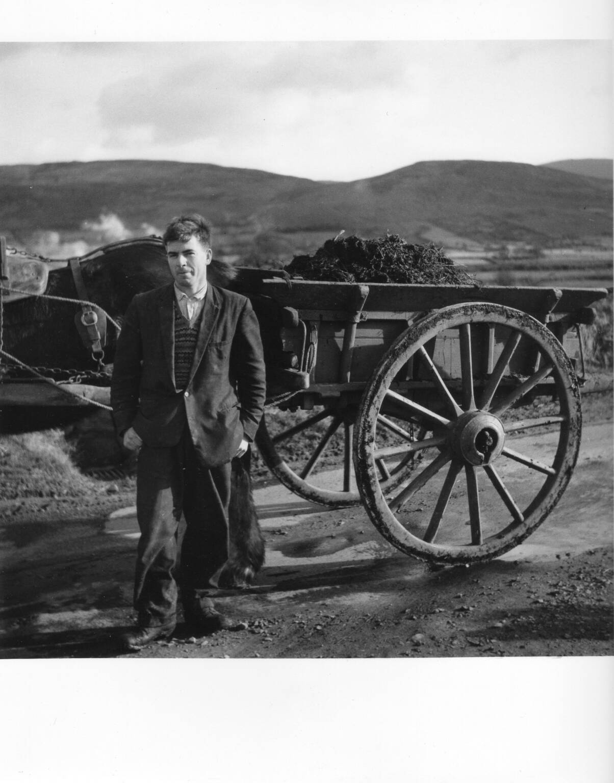 Michael J Murphy - The Last Druid | Ring of Gullion AONB