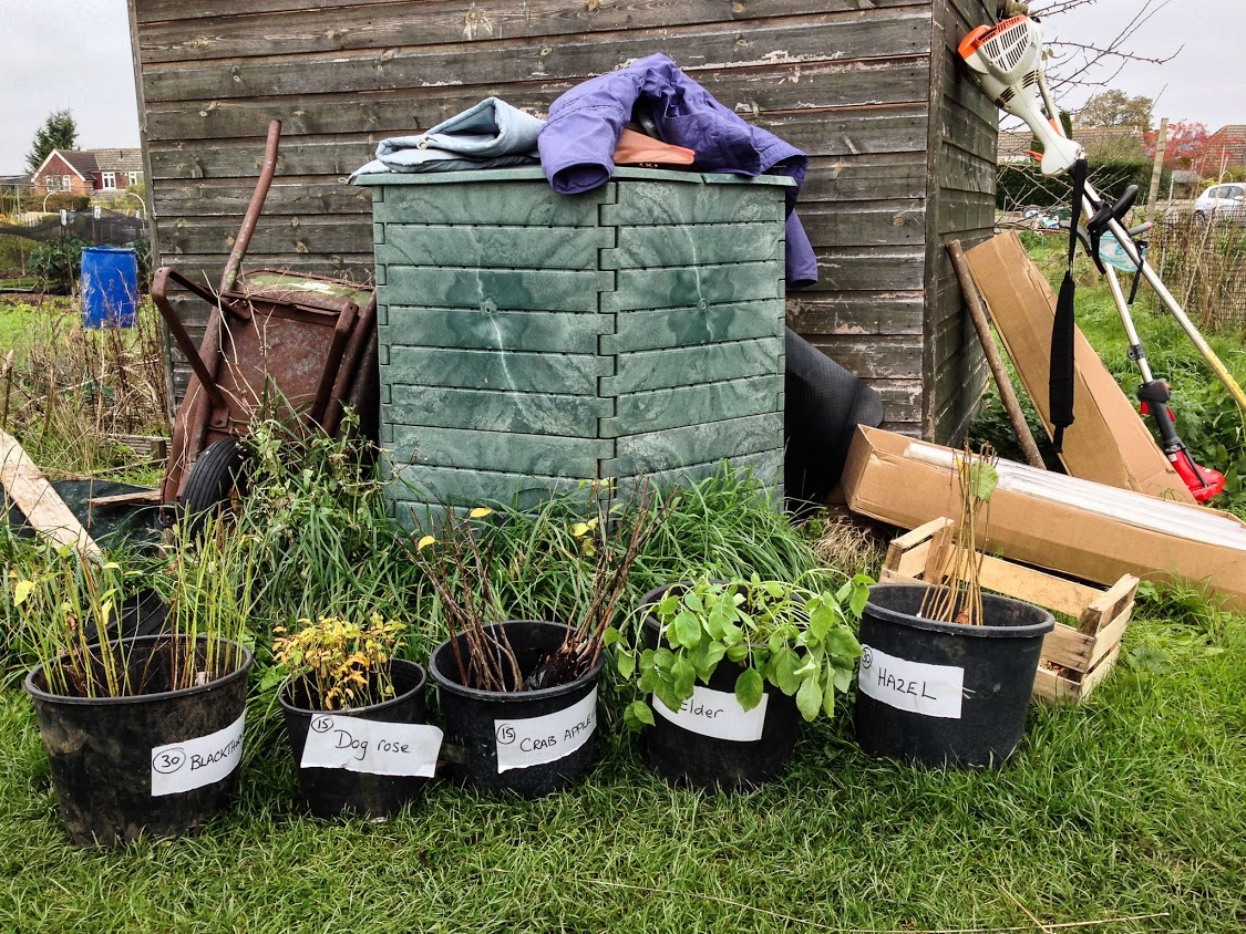 Tree planting offers to brighten the landscape | Ring of Gullion AONB