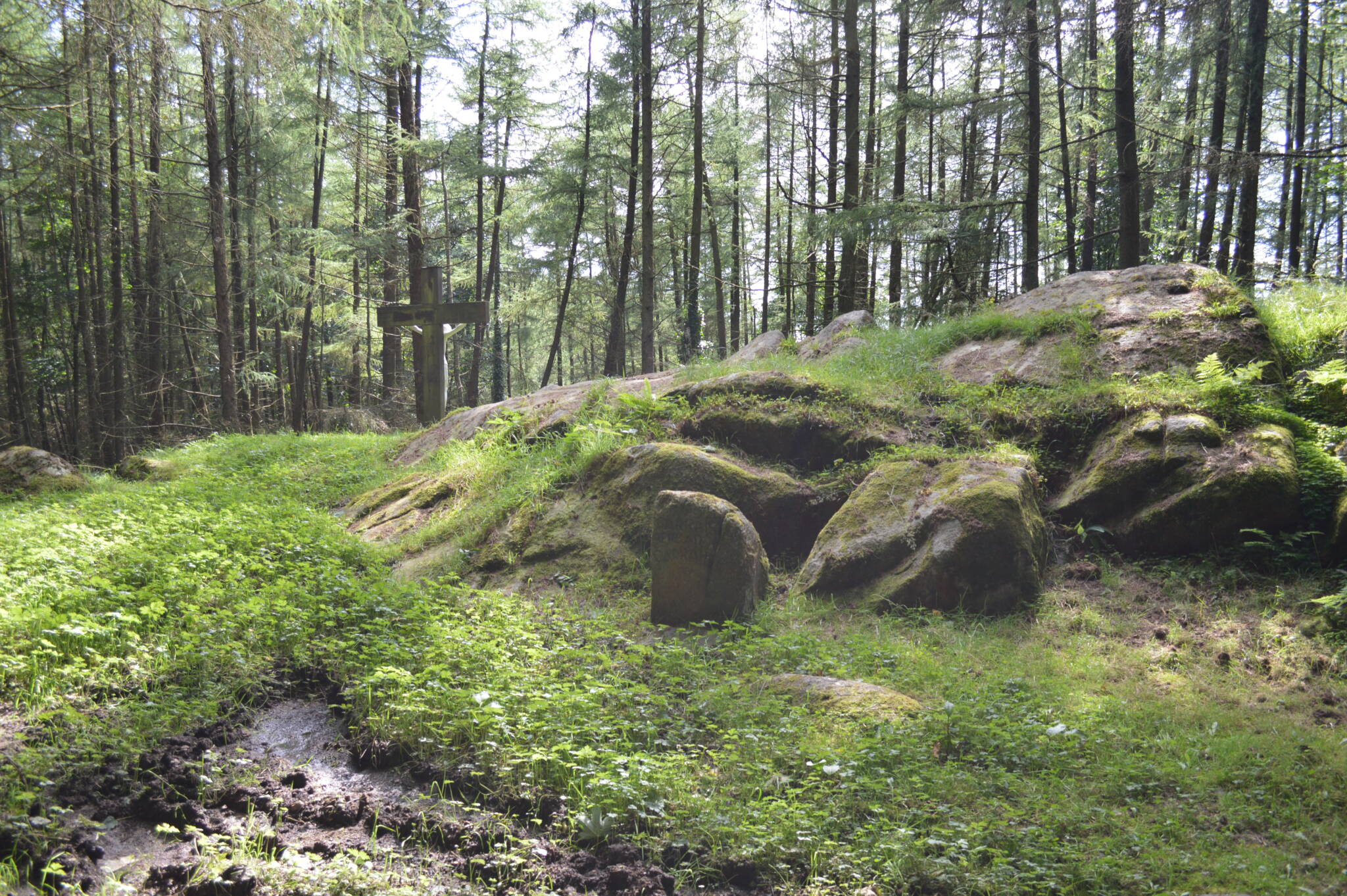 ASSI's in the Ring of Gullion | Ring of Gullion AONB