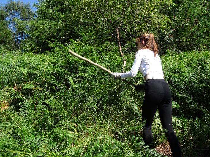 Youth Rangers 2017 – Ring of Gullion