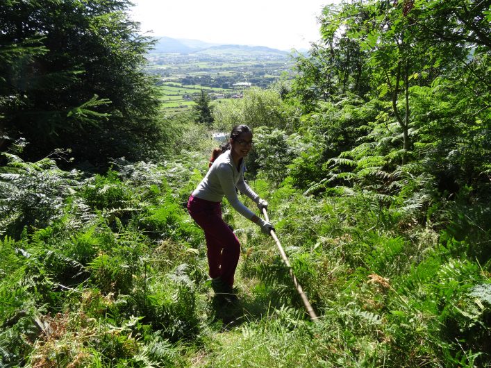 Youth Rangers 2017 – Ring of Gullion