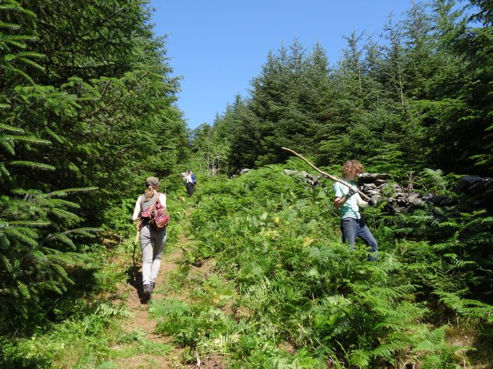 Youth Rangers 2017 – Ring of Gullion