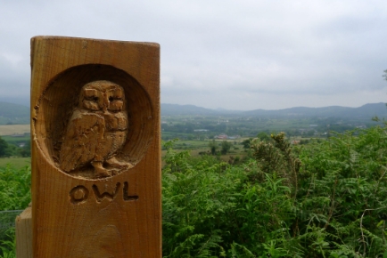 Medium Walks | Ring of Gullion AONB