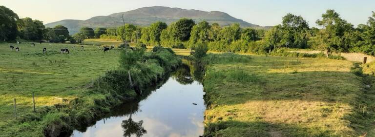 €19.2M PEACEPLUS Funding Boost for Ulster Wildlife-led PEAT+ Project to ...