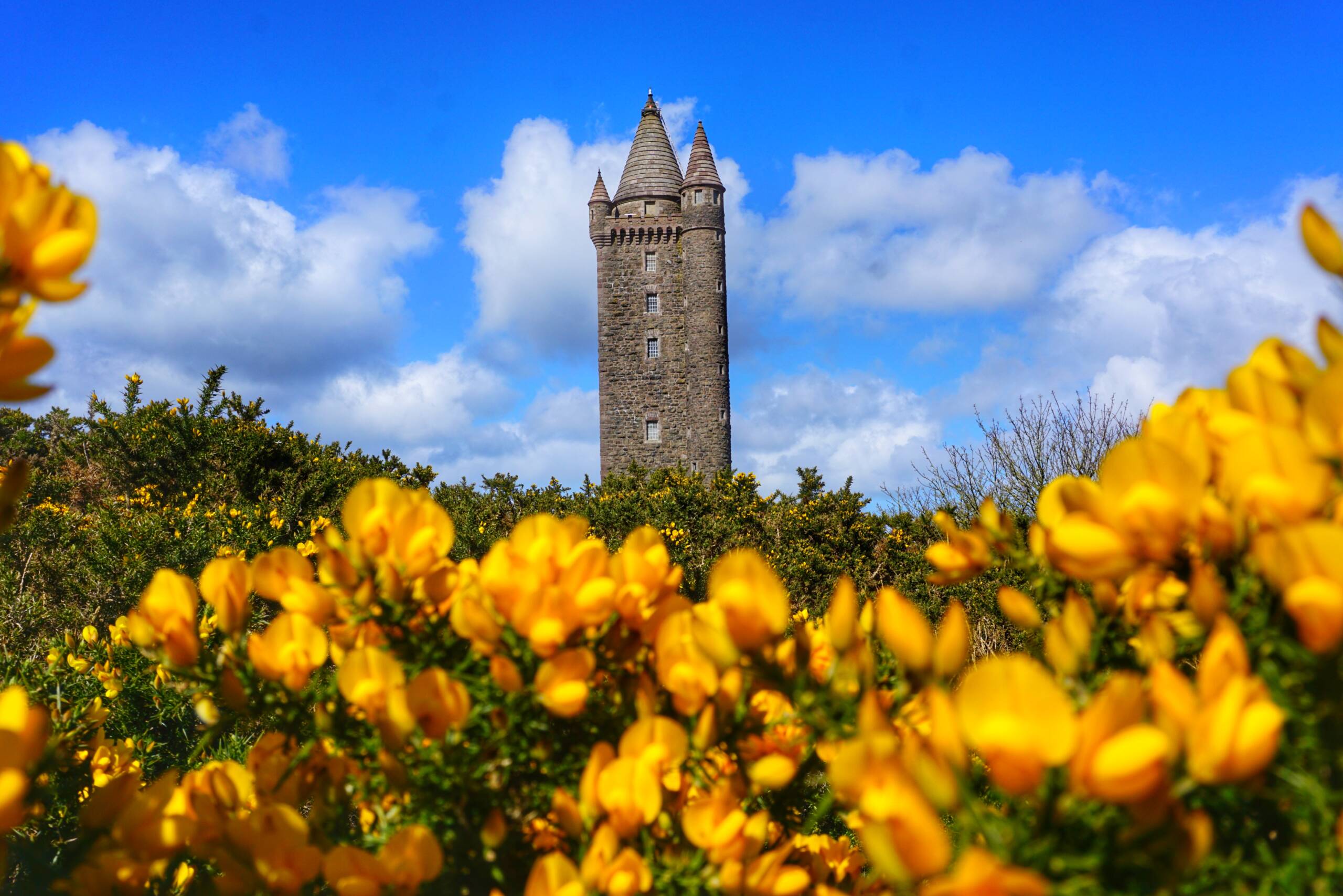 Area of Outstanding Natural Beauty (AONB) Photography Competition 2022 ...