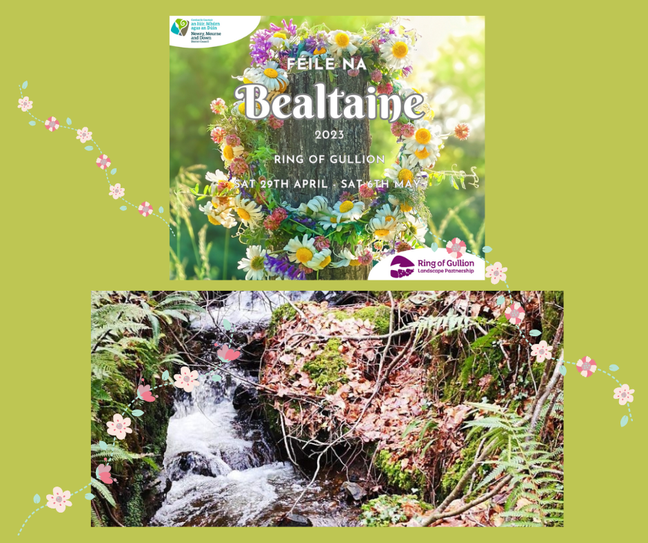 A Magical Walk in Nature | Ring of Gullion AONB