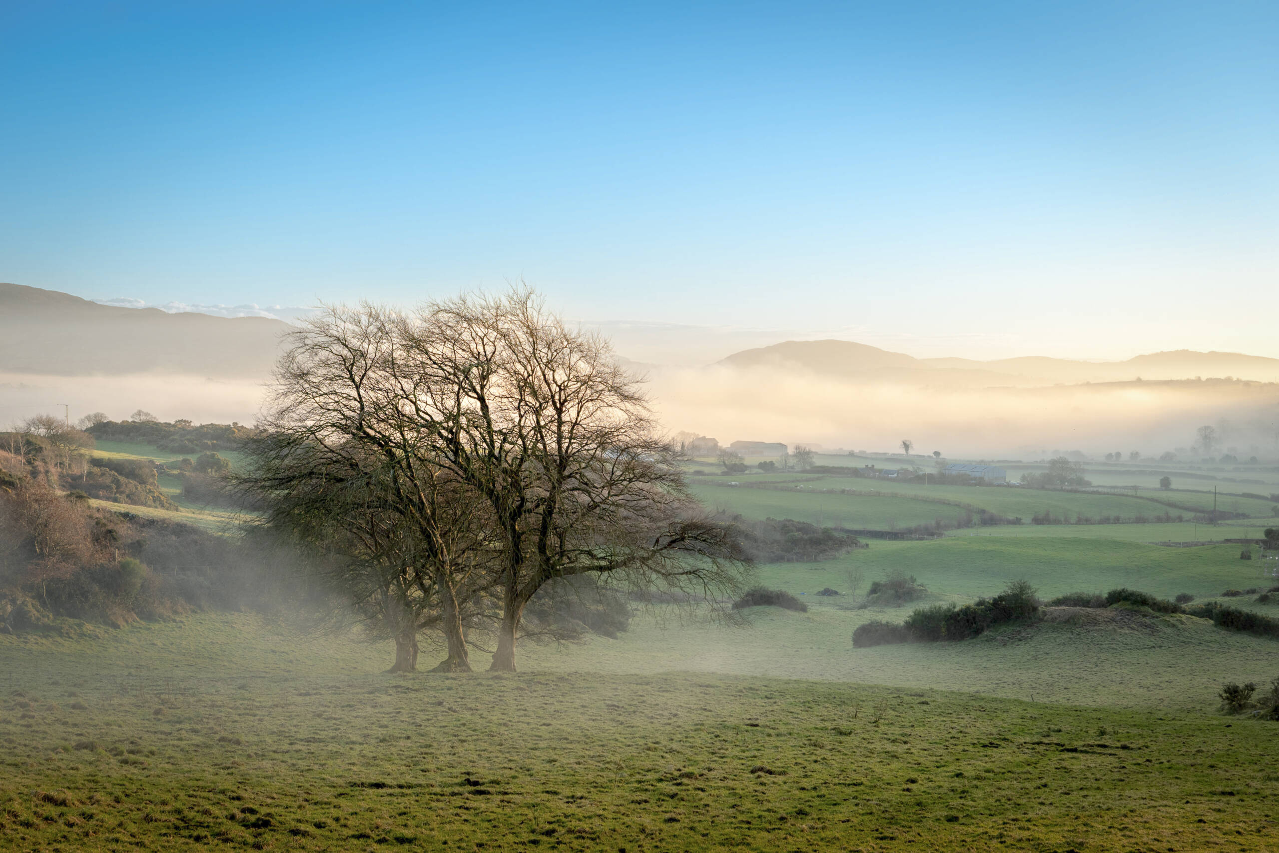 Amateur Photography Competition | Ring of Gullion AONB