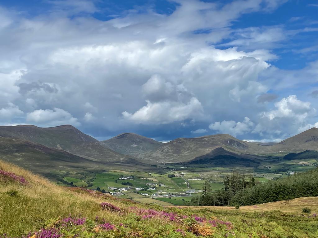 Biodiversity - Mourne AONB
