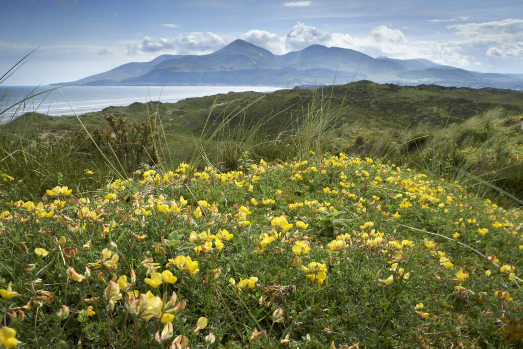 Experience Mournes Week 2025: Celebrating Conservation and Heritage ...