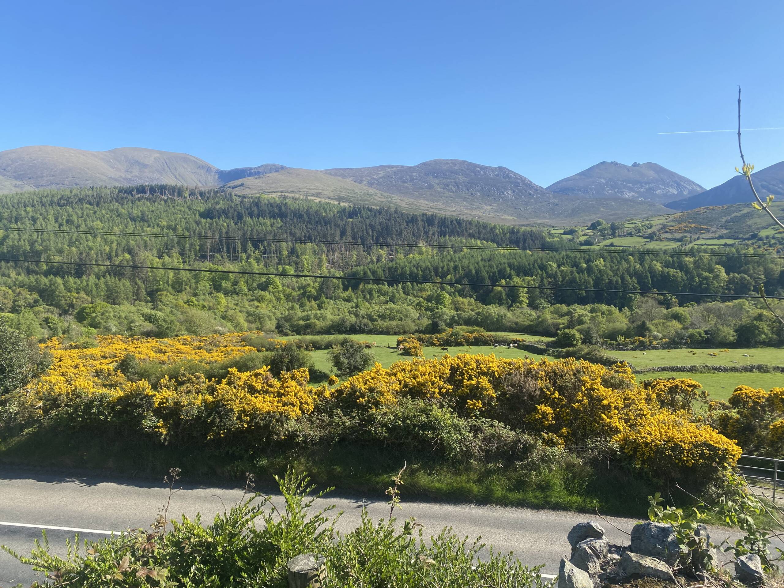 We're Recruiting ! - Mourne AONB