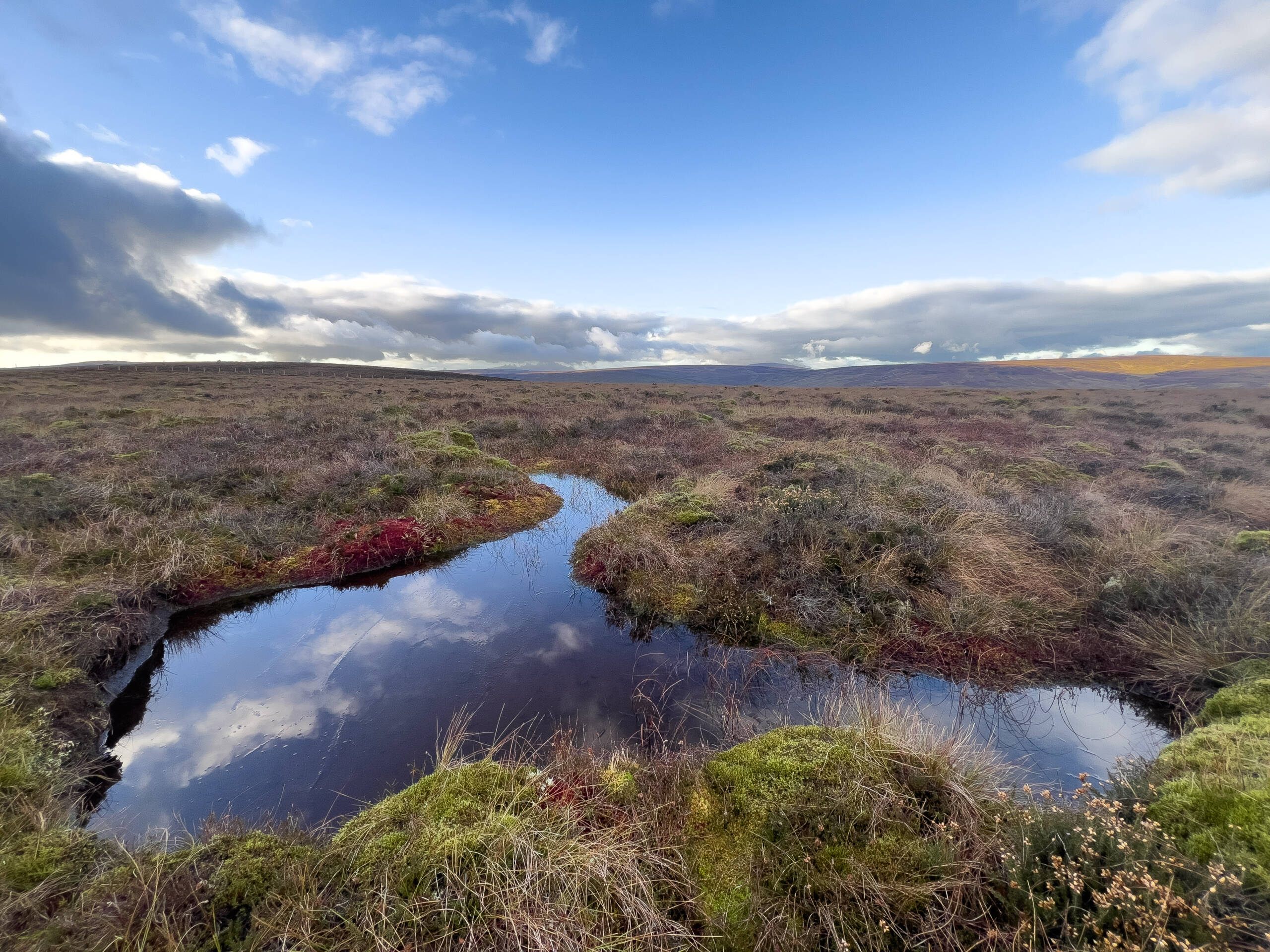 Mourne Heritage Trust Delighted to Partner on Landmark Peat+ Project ...