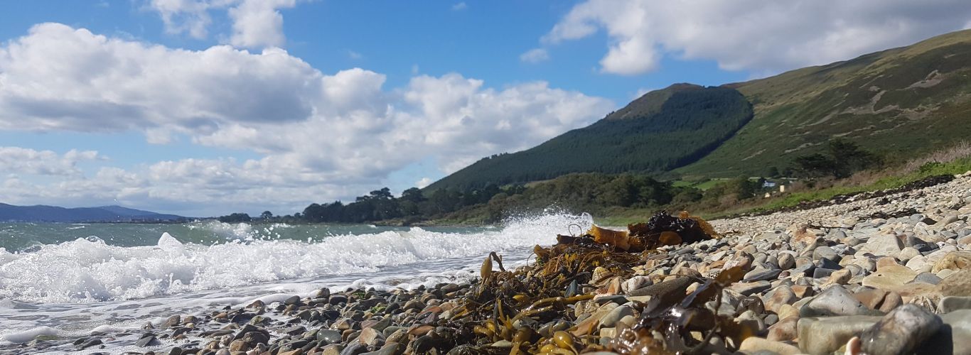 About Us - Strangford and Lecale AONB