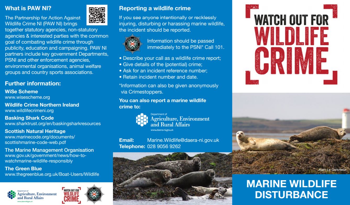Watch out for Wildlife Crime - Marine Wildlife Disturbance - Strangford ...