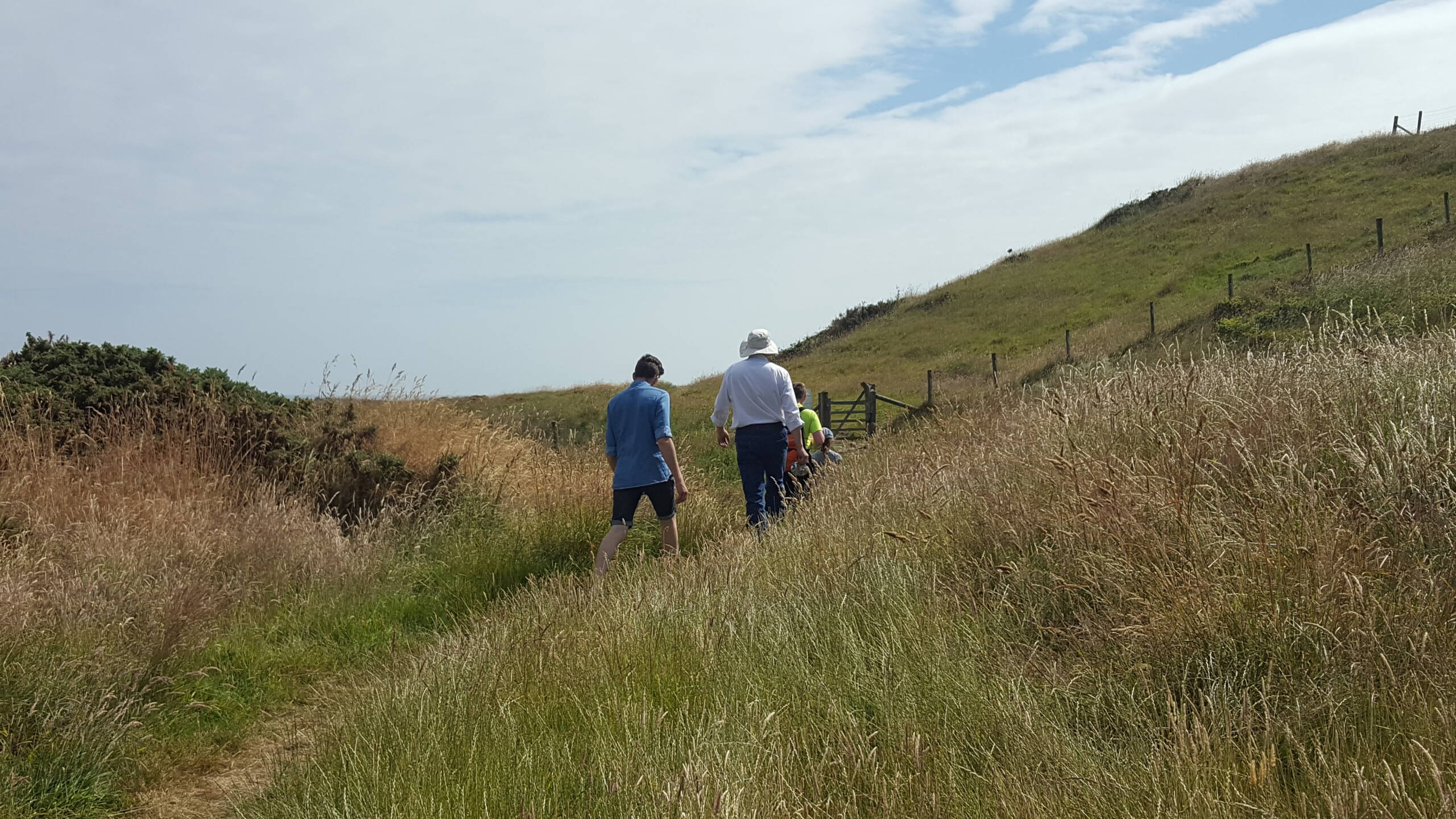 Walking in Strangford and Lecale - Strangford and Lecale AONB