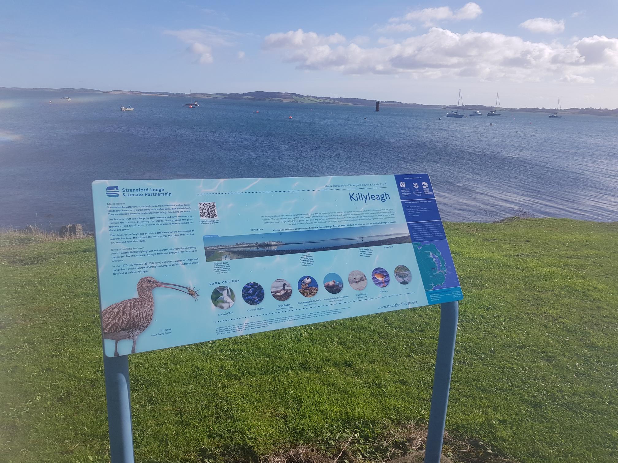 Out & About around Strangford Lough and Lecale Coast - Strangford and ...