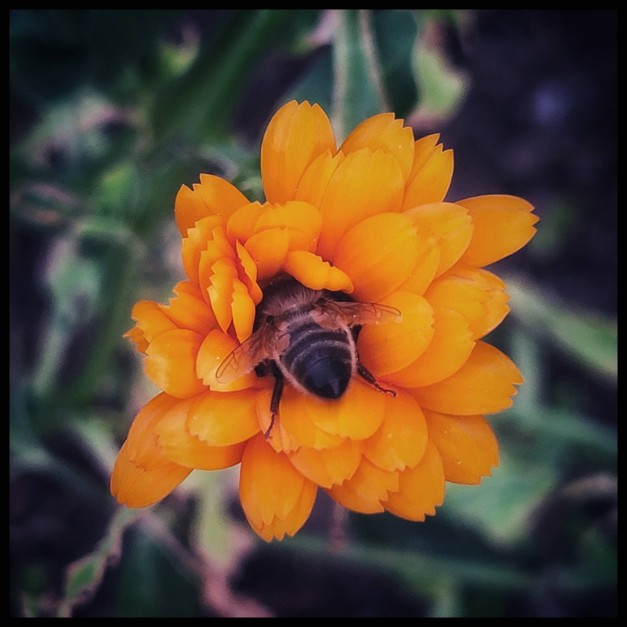 How to make a Bee Hotel - Strangford and Lecale AONB